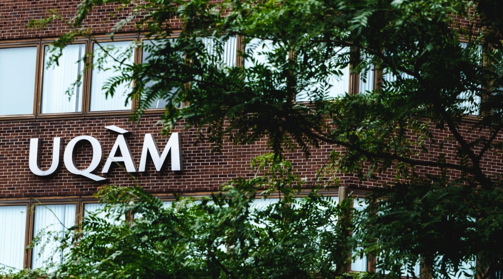 Les Écoles d'été en vogue - Montréal Campus